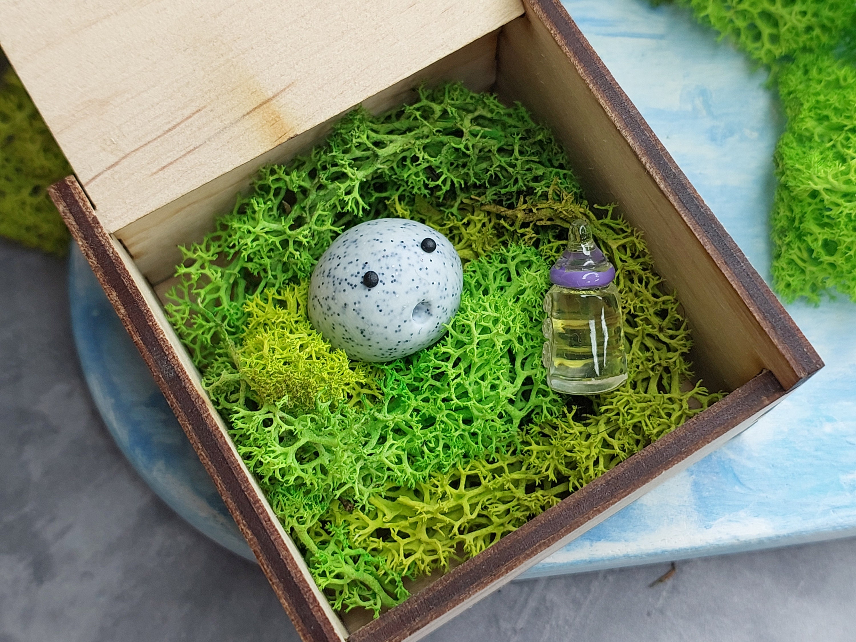 Baby Rock W/ Bottle Adoption Certificate & Moss Box Home Emotional ...