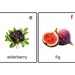 26 Montessori "fruits From Around the World" Flashcards Set, Pre-school ...