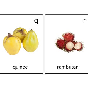 26 Montessori "fruits From Around the World" Flashcards Set, Pre-school ...