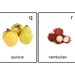 26 Montessori "fruits From Around the World" Flashcards Set, Pre-school ...