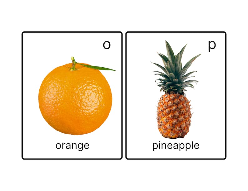 26 Montessori "fruits From Around the World" Flashcards Set, Pre-school ...