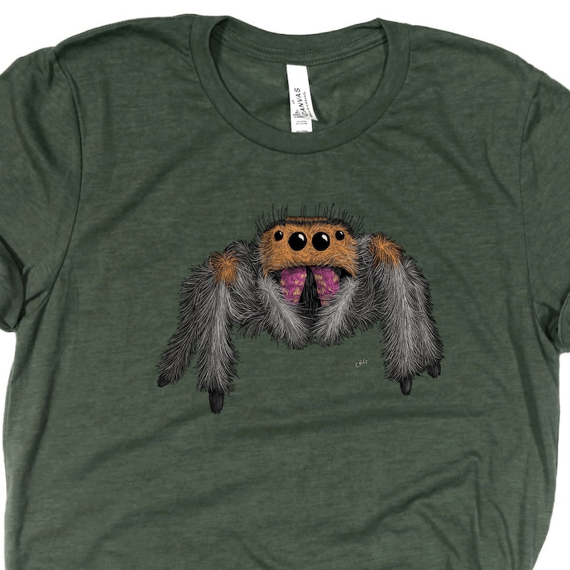 Jumping Spider Nature - Etsy