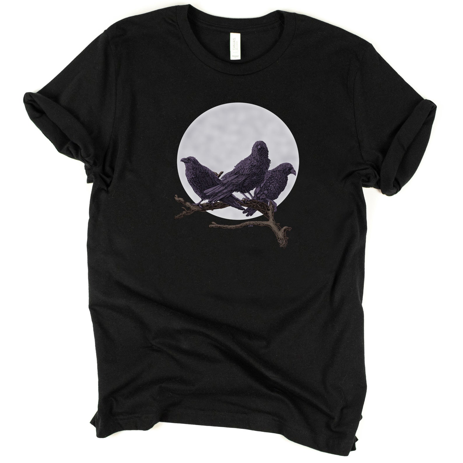 Raven Shirt / Raven / Ravens / Bird Shirt / Raven T-shirt / - Etsy