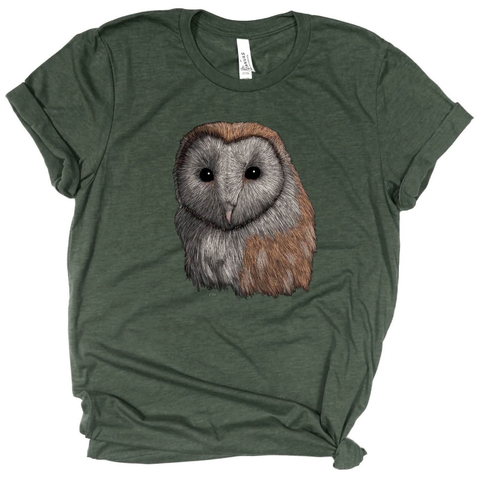 Barn Owl Shirt / Barn Owl / Owl Shirt / Owl / Bird Shirt / Owl - Etsy