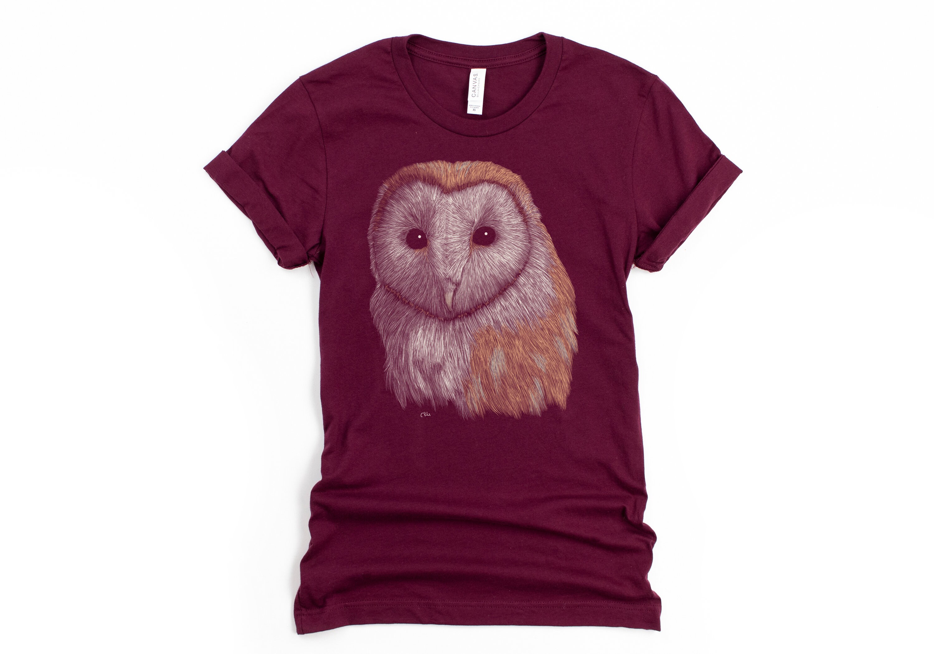 Barn Owl Shirt / Barn Owl / Owl Shirt / Owl / Bird Shirt / Owl | Etsy