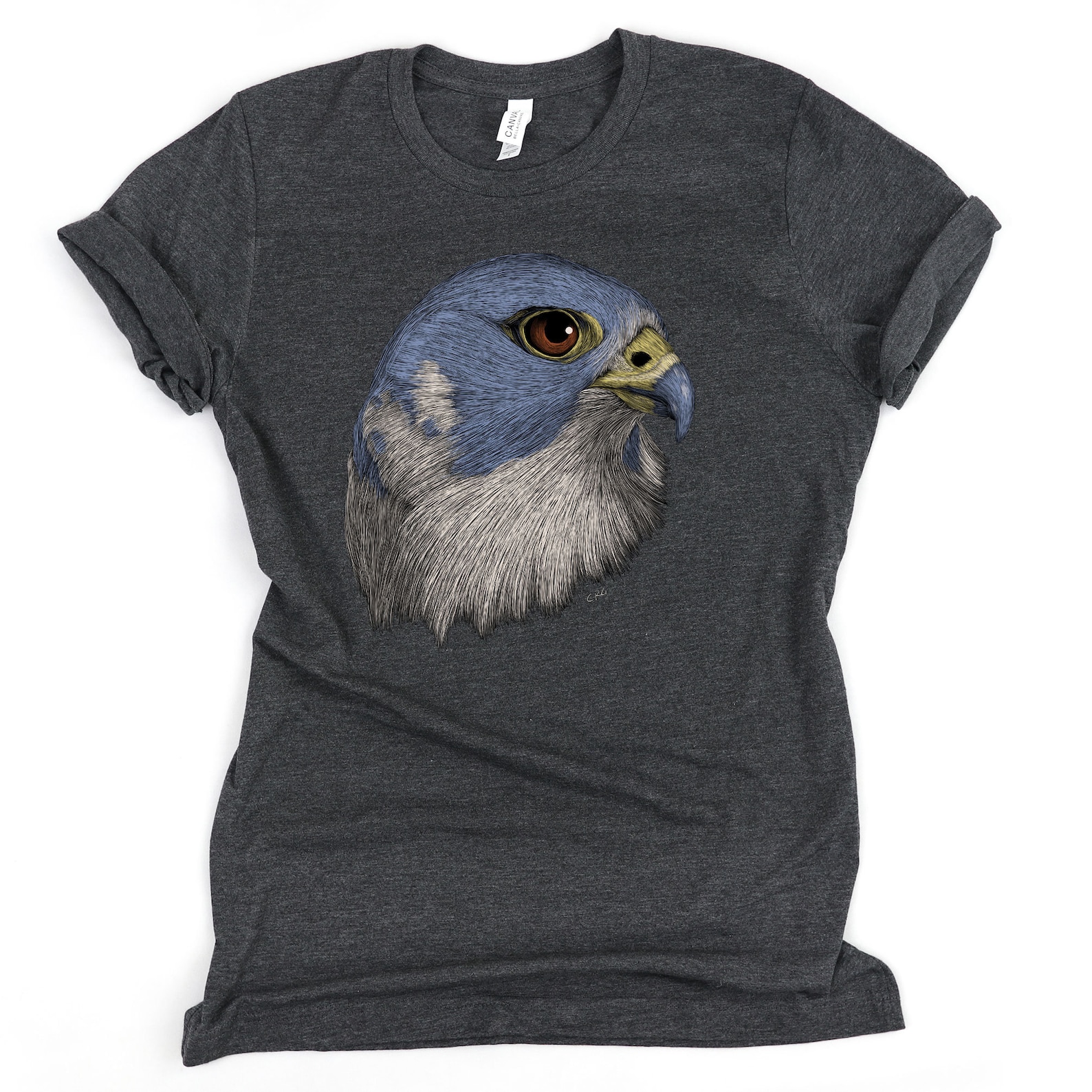 Peregrine Falcon Shirt / Peregrine Falcon / Falcon Shirt / Peregrine ...
