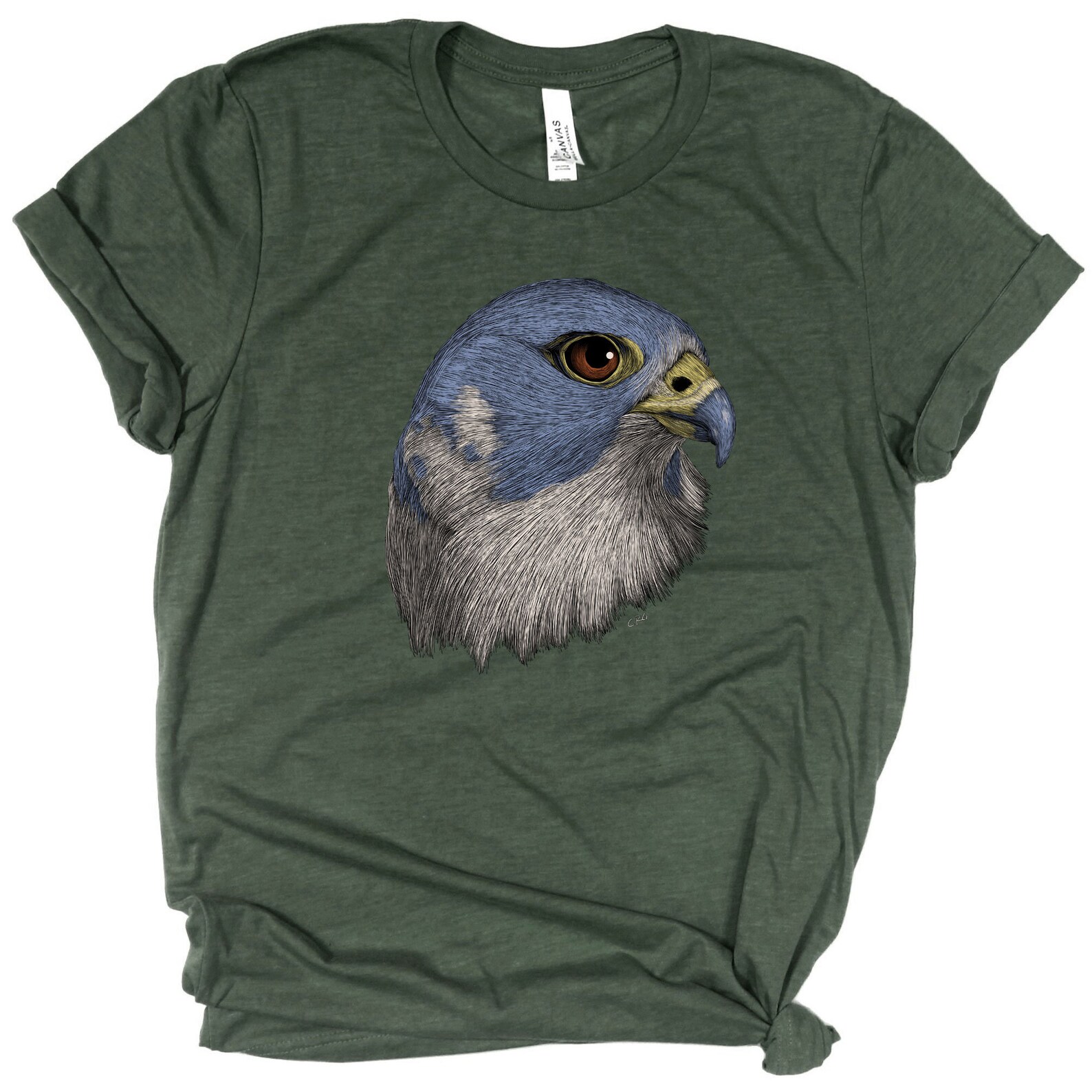 Peregrine Falcon Shirt / Peregrine Falcon / Falcon Shirt / Peregrine ...