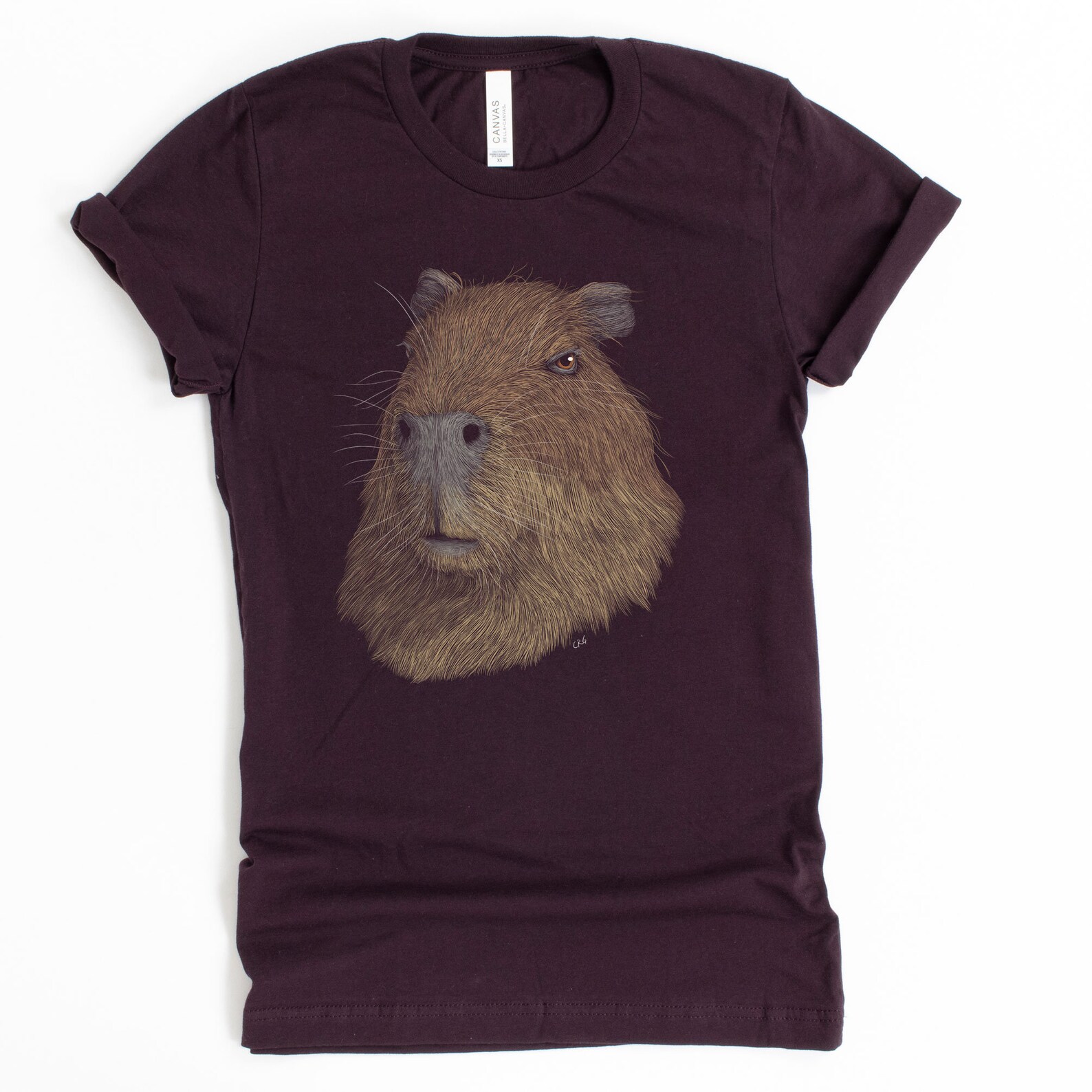 Capybara Shirt / Capybara / Capybara T-shirt / Capybara Gift / | Etsy