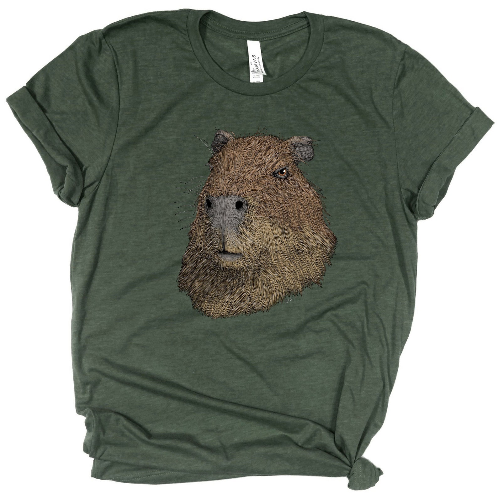 Capybara Shirt / Capybara / Capybara T-shirt / Capybara Gift / | Etsy