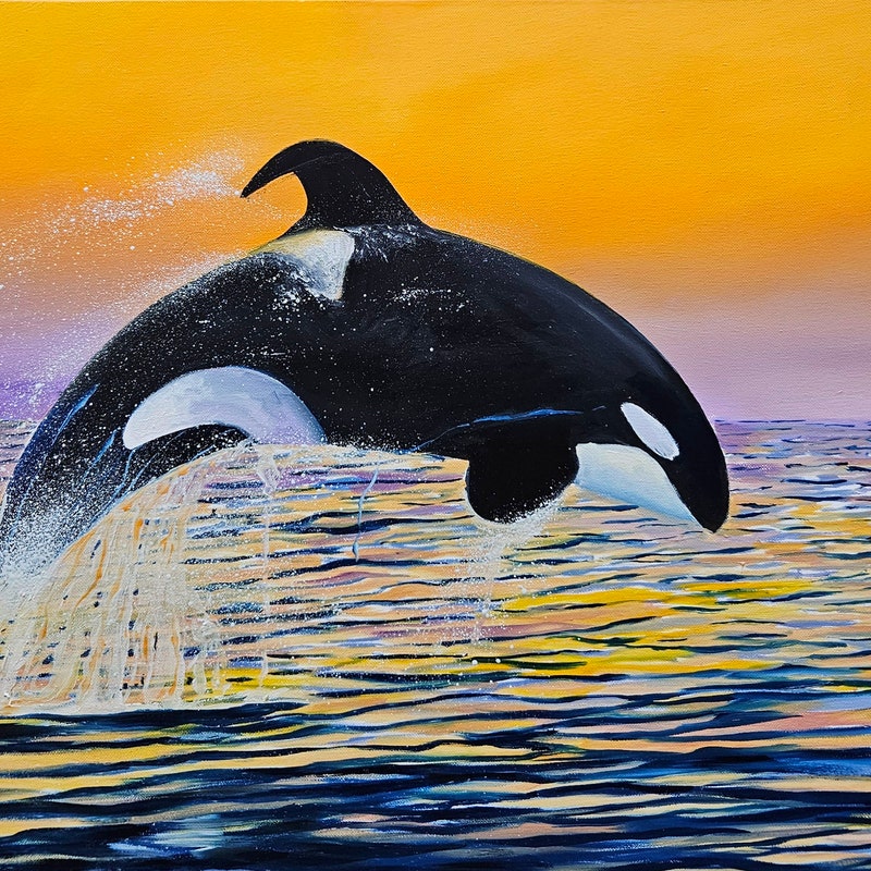 Shamu - Etsy
