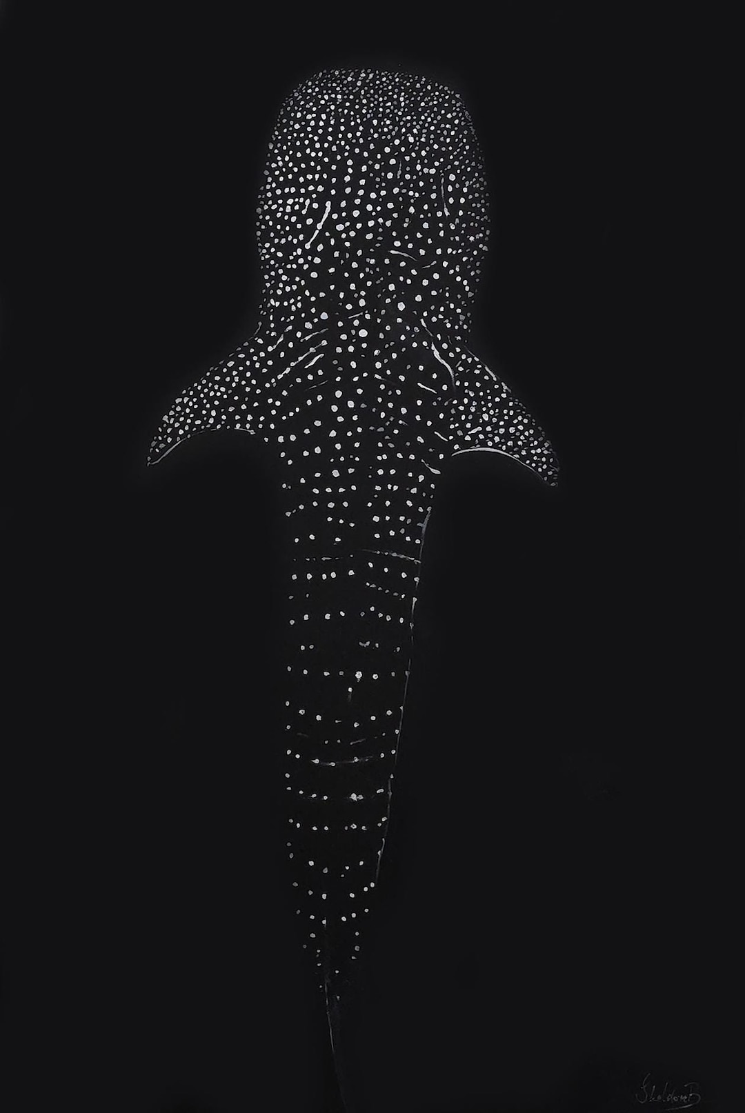 Celestial Shark: Galaxy of the Sea - Etsy