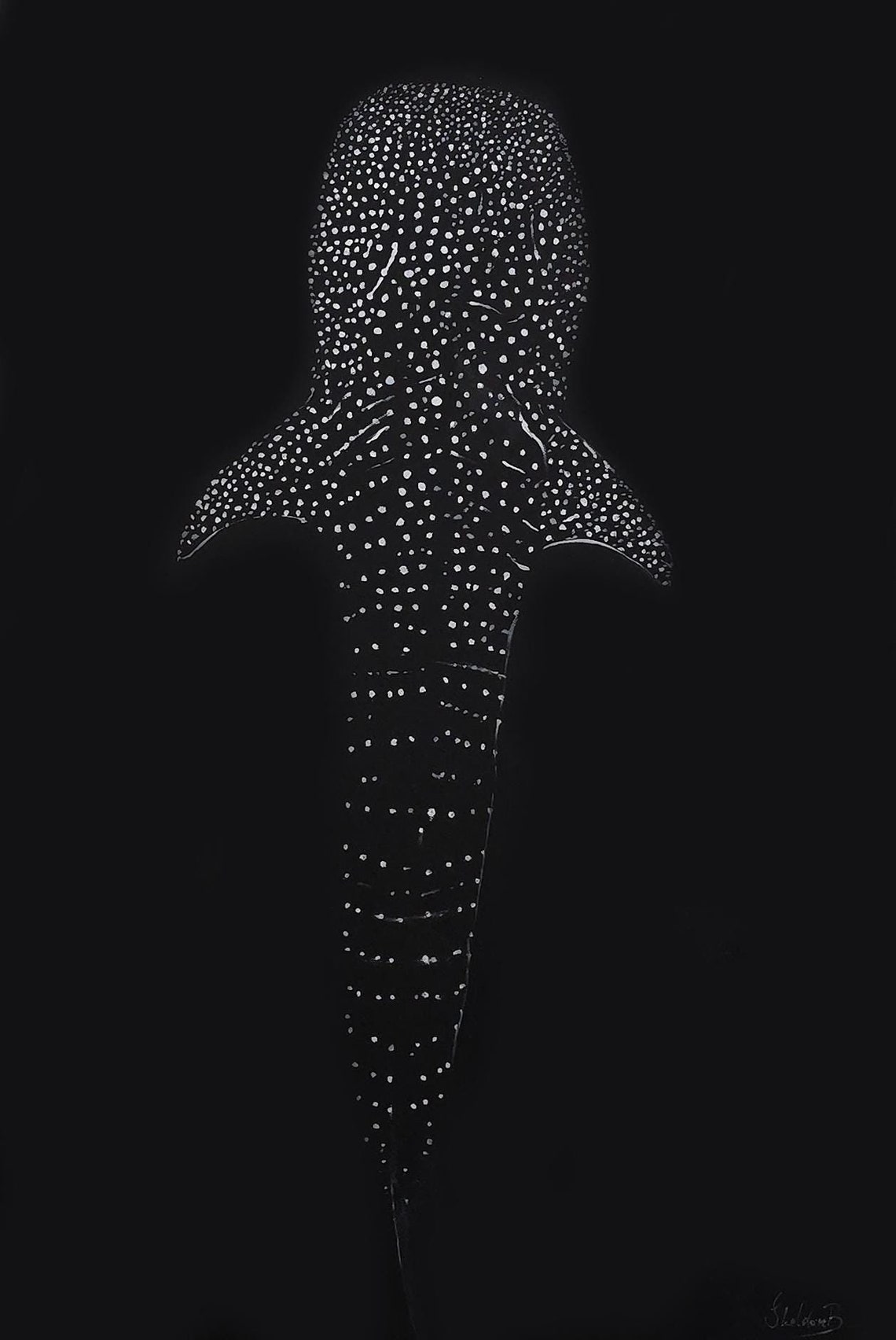 Celestial Shark: Galaxy of the Sea - Etsy