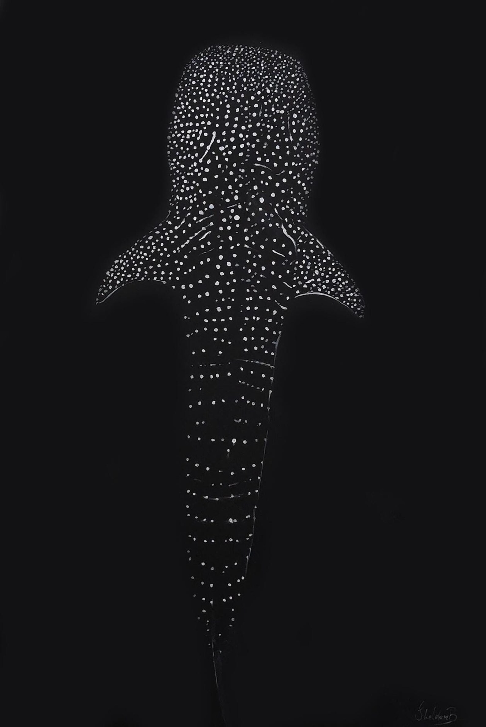 Celestial Shark: Galaxy of the Sea - Etsy