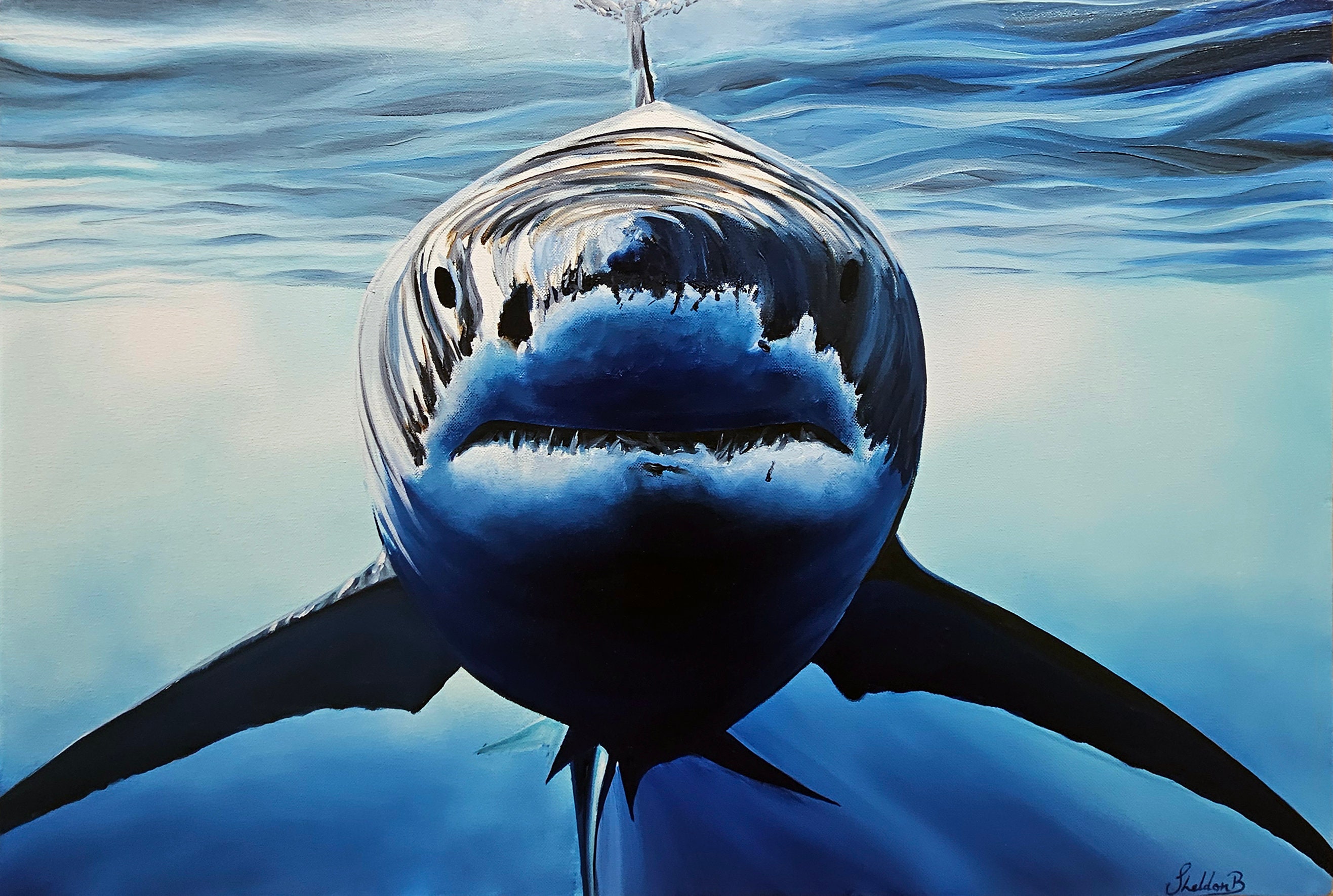 Jaws Unleashed, Shark Painting, White Pointer Shark, Great White Shark ...