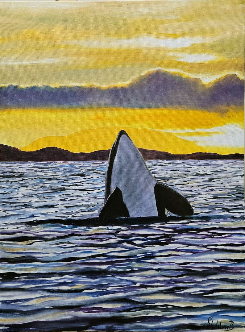 Morning Glory, 18 X 24 Inches, Oil on Canvas, Orca Killer Whale - Etsy