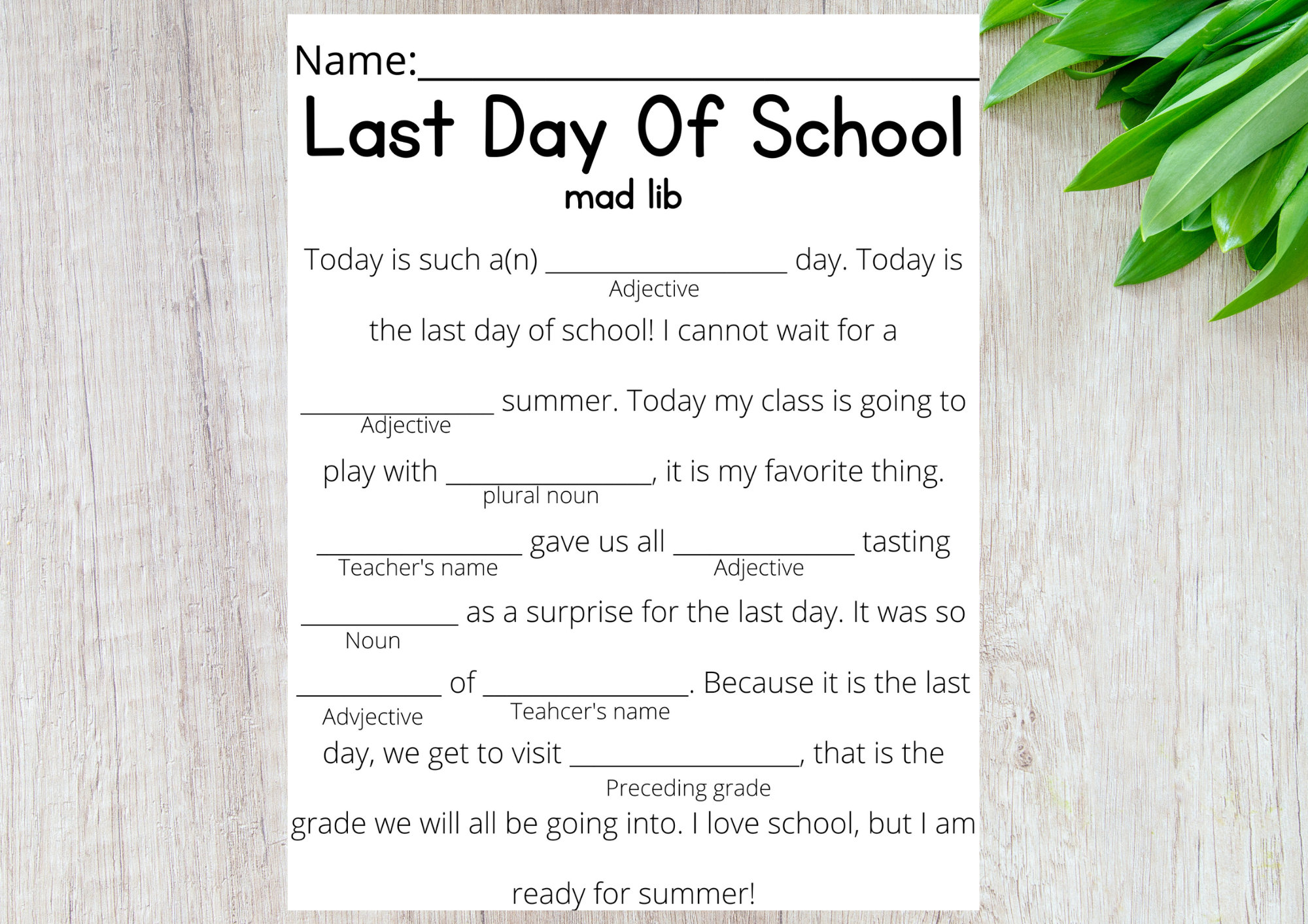 Last Day of School Mad Lib, Silly Story, Fun, Parts of Speech ...