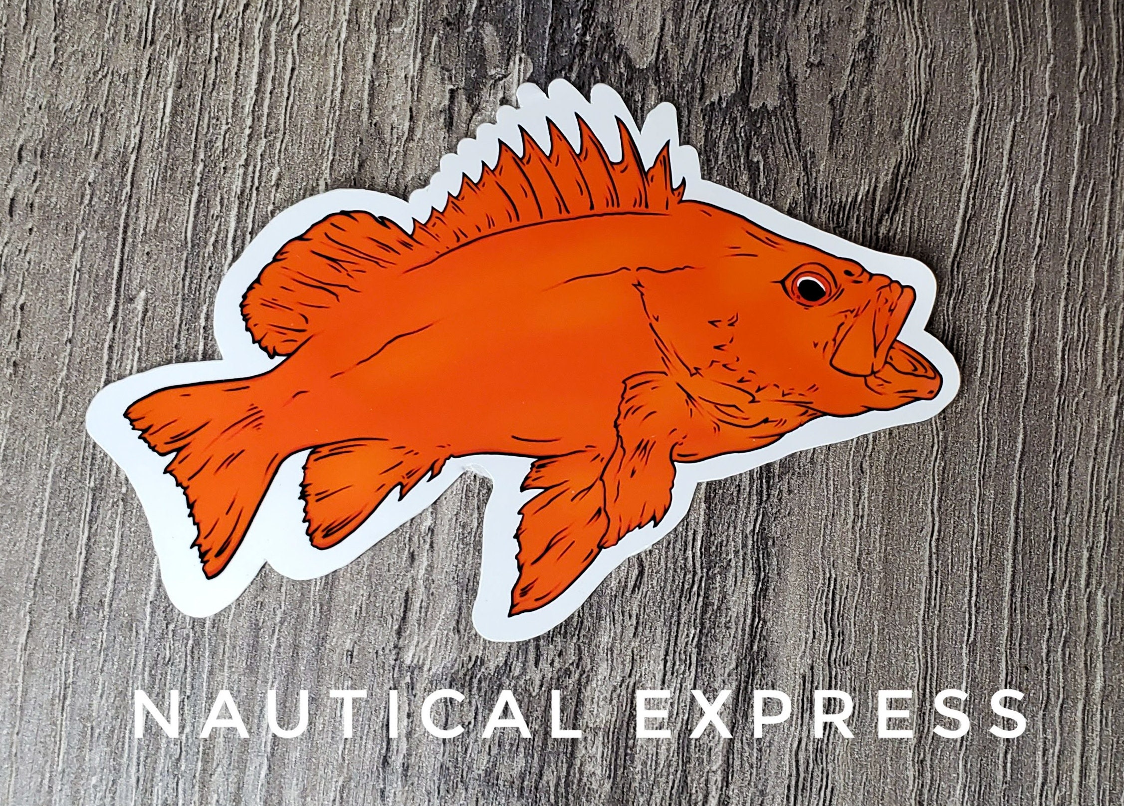 Vermilion Rockfish Sticker / Redrock Fish Sticker / Fish Sticker / Fish ...