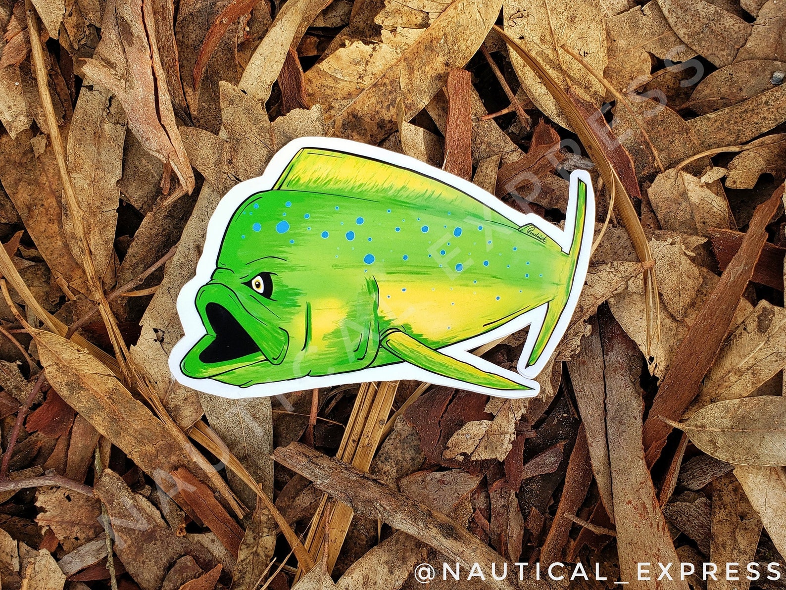 Dorado Sticker / Mahi Mahi Vinyl Sticker / Fish / Outdoor Sticker ...
