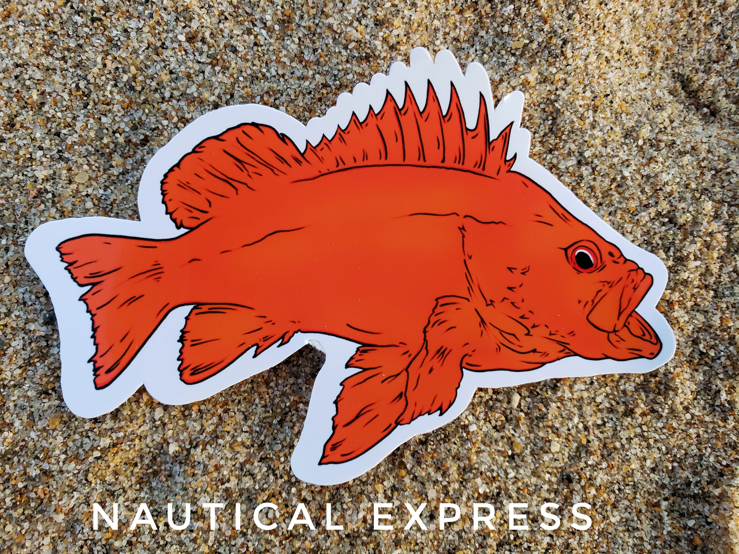 Vermilion Rockfish Sticker / Redrock Fish Sticker / Fish Sticker / Fish ...