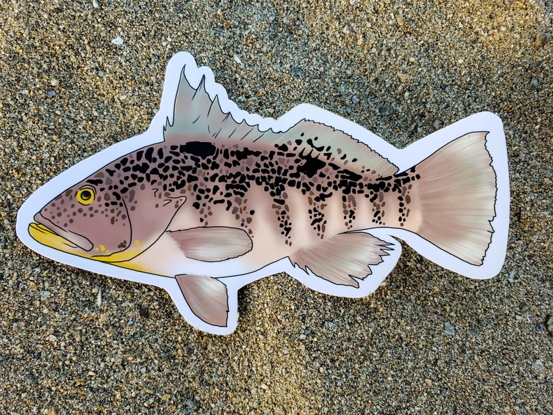 Spotted Bay Bass Sticker / Vinyl Sticker / Bumper Sticker / Vinyl Decal ...