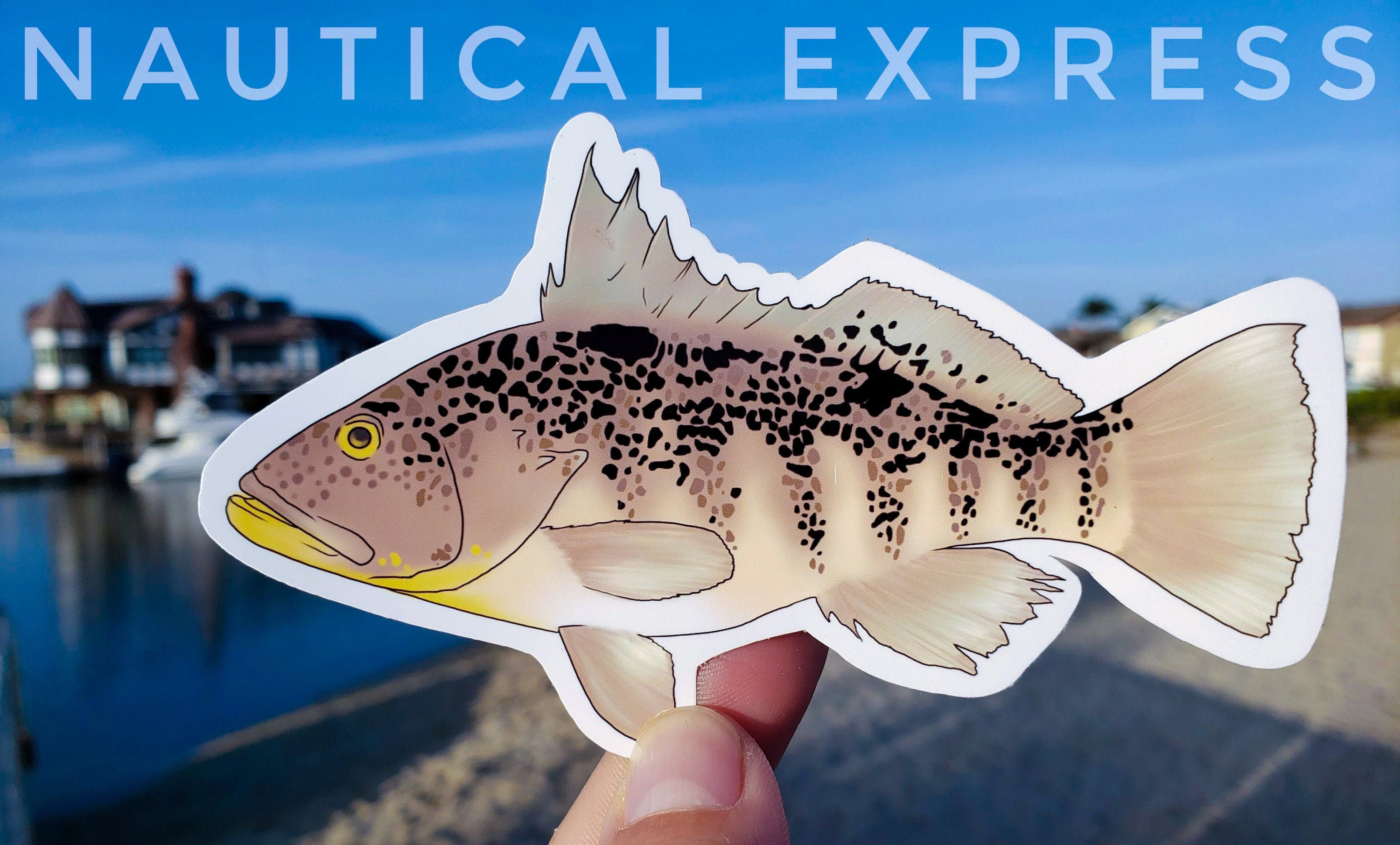 Spotted Bay Bass Sticker / Vinyl Sticker / Bumper Sticker / Vinyl Decal ...