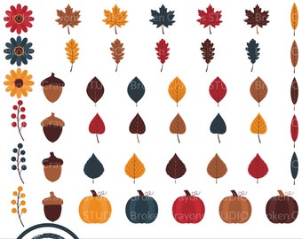 Nuts About Fall Clipart-instant Download-digital Clipart - Etsy Canada