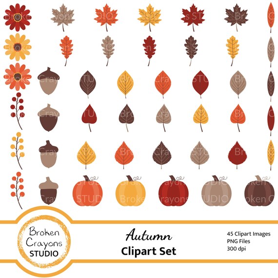 Autumn Clipart Commercial Use Fall Clipart Leaves Clipart | Etsy