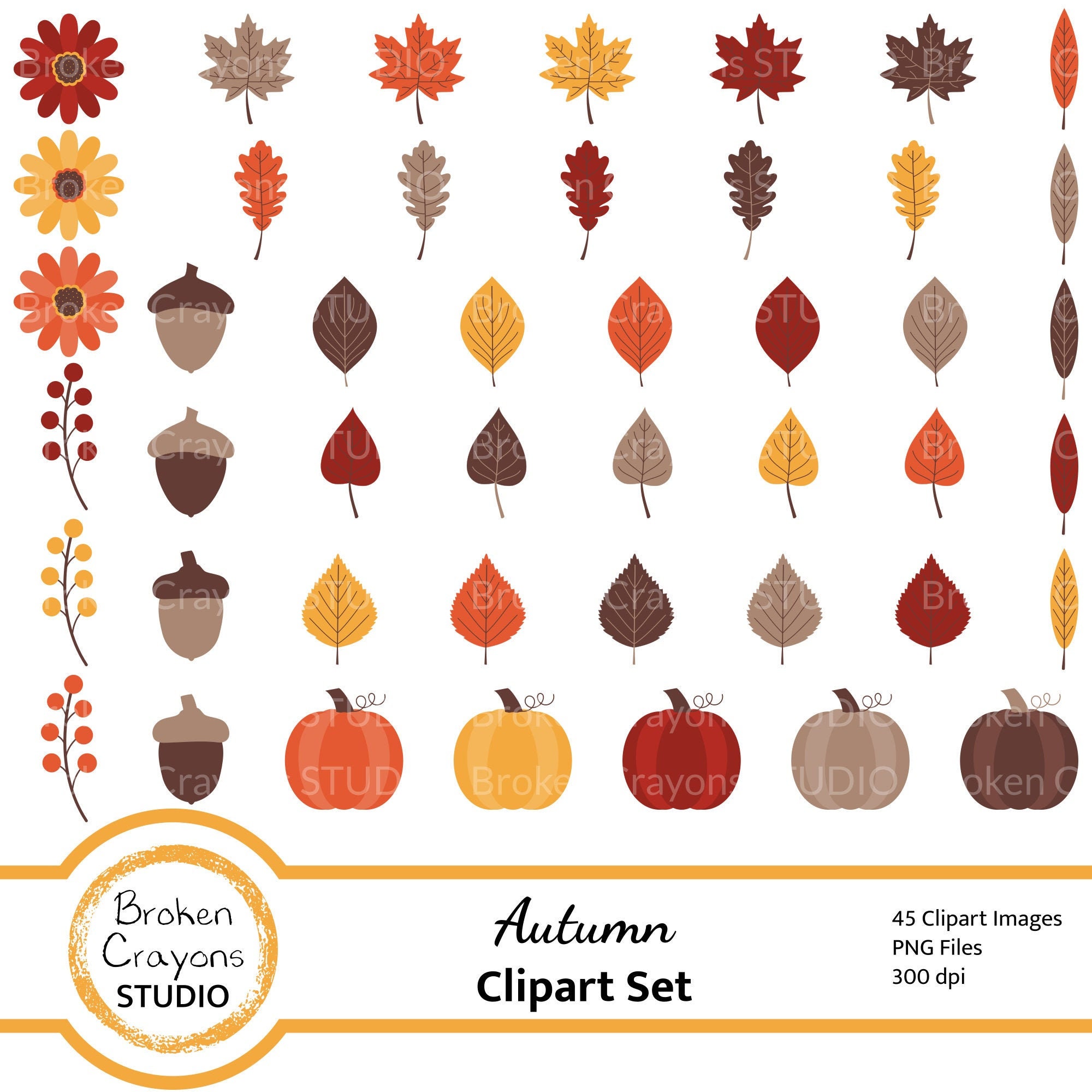 Autumn Clipart Commercial Use, Fall Clipart, Leaves Clipart, Pumpkin ...