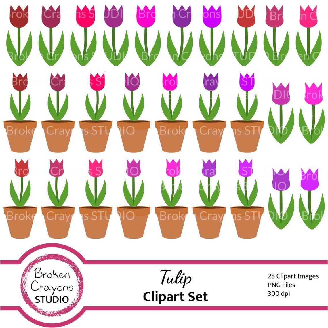 Tulip Clipart Set Commercial Use, Floral Clipart, Flower Clipart ...
