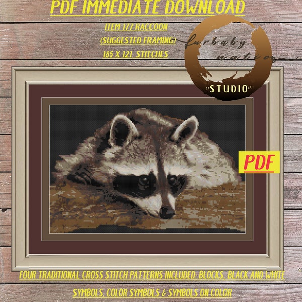 Raccoon Cross Stitch - Etsy