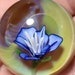 Glass Flower, Implosion Marble With Butterscotch Background, Glass ...
