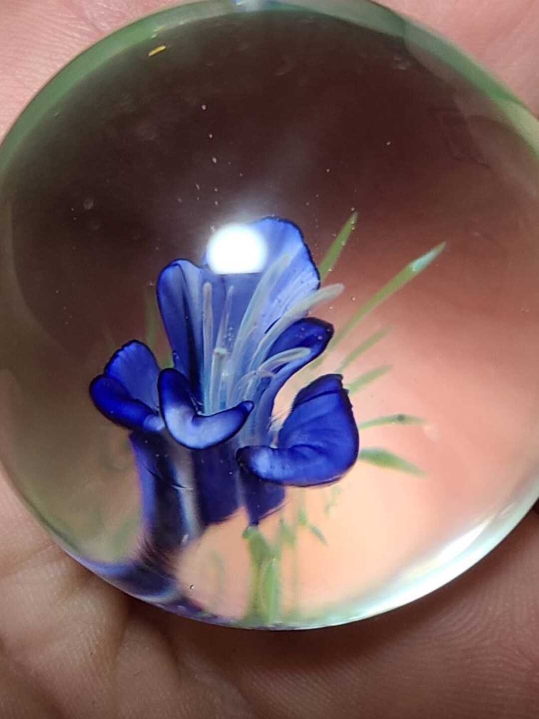 Blue Flower Glass Implosion Marble, Glass Marble, Hand Blown Glass, Art ...