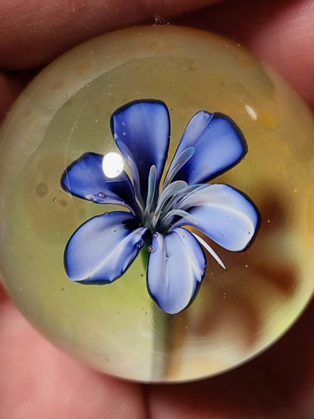 Flower Implosion Marble, Glass Marble, Handmade Marble, Art Glass - Etsy