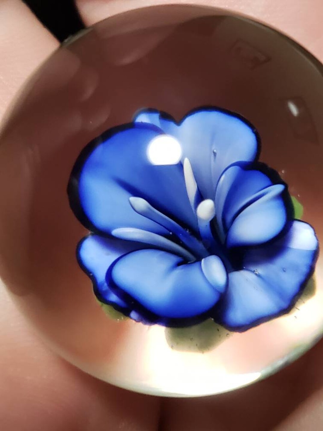 Glass Marble, Blown Glass Flower Marble, Blue Flower Marble ...