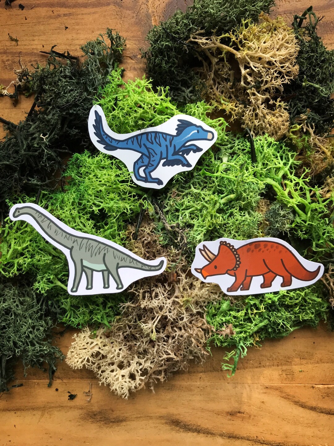 Dinosaur Venyl Sticker // Cute Multicolor Triceratops Raptor - Etsy