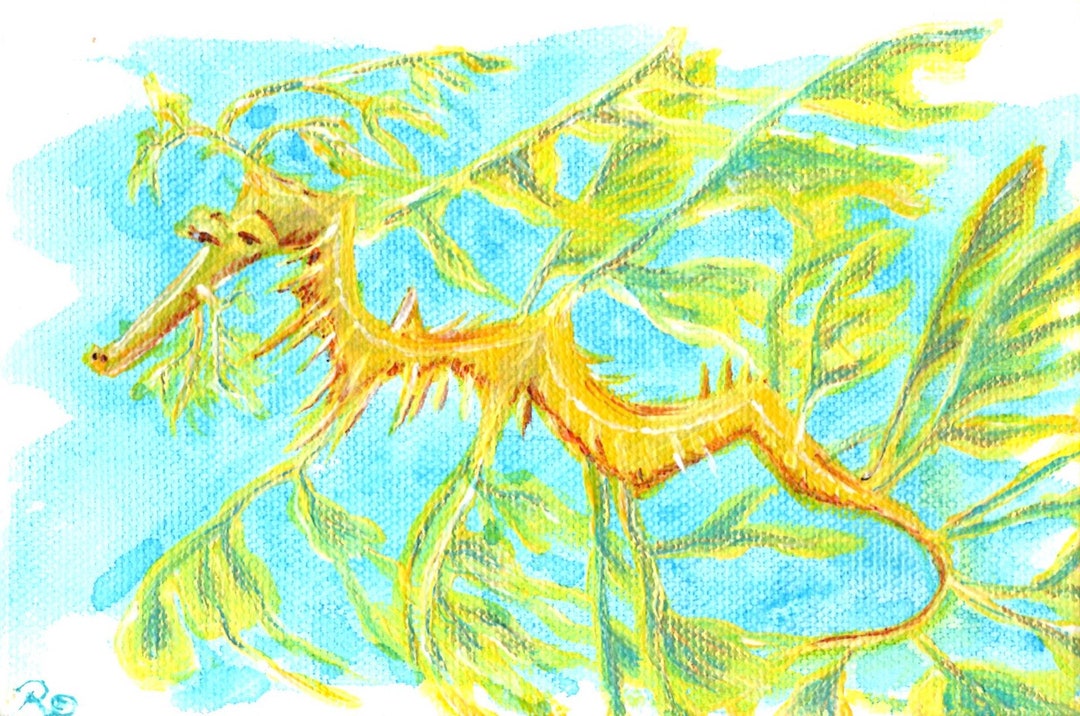 Leafy Sea Dragon - Etsy