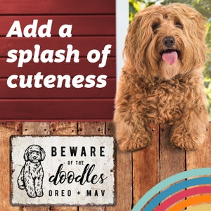 Personalized Beware of Doodle Metal Sign - Etsy