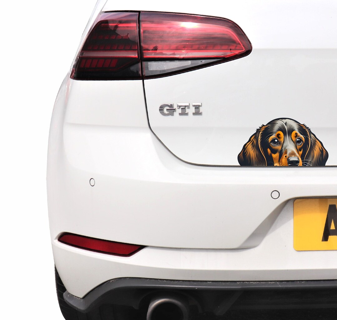 Funny Cute Dachshund Sausage Dog Peeper Peeker Peeking Pet Dog - Etsy