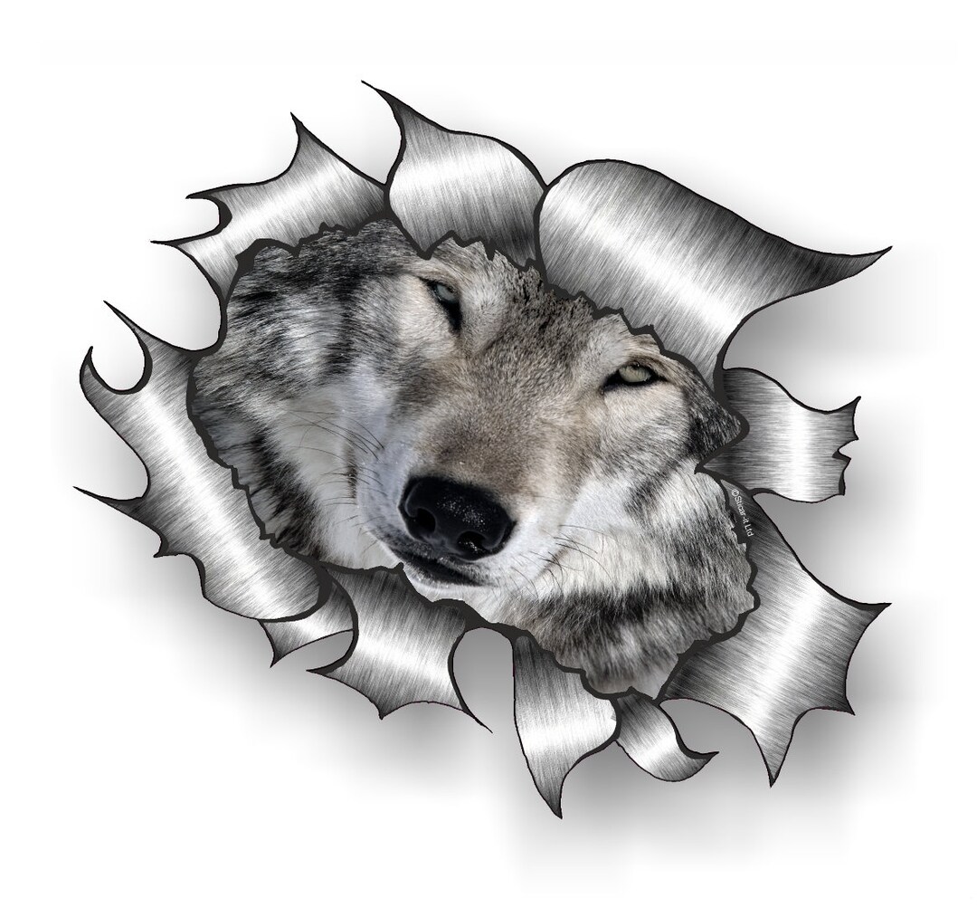 Licensed Ripped Torn Metal Rip Design With Beautiful Wolf Wolves Face ...