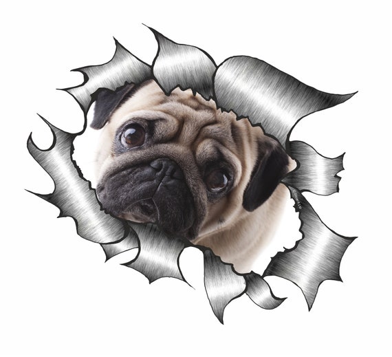 Licensed Ripped Torn Metal Rip Design With Cute Pug Pet Dog & - Etsy UK