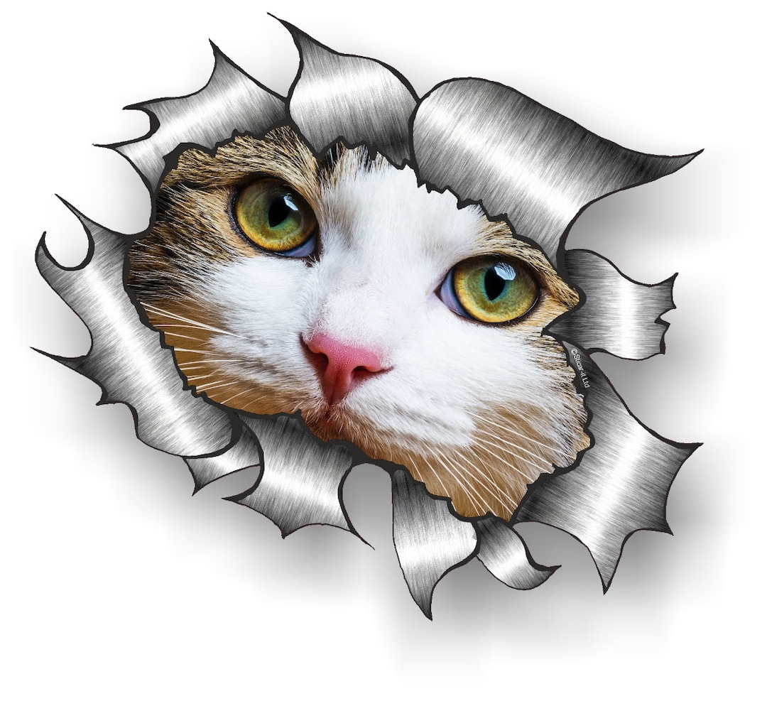 Licensed Ripped Torn Metal Rip Design With Beautiful White Cat Kitten ...