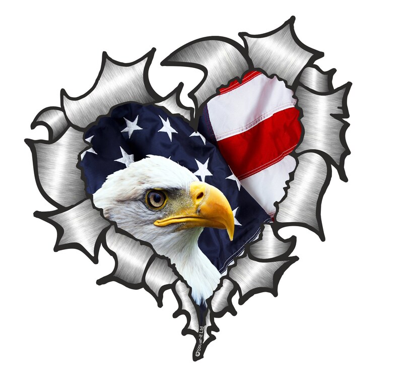 Licensed Ripped Torn Metal HEART Rip Design With American Bald | Etsy