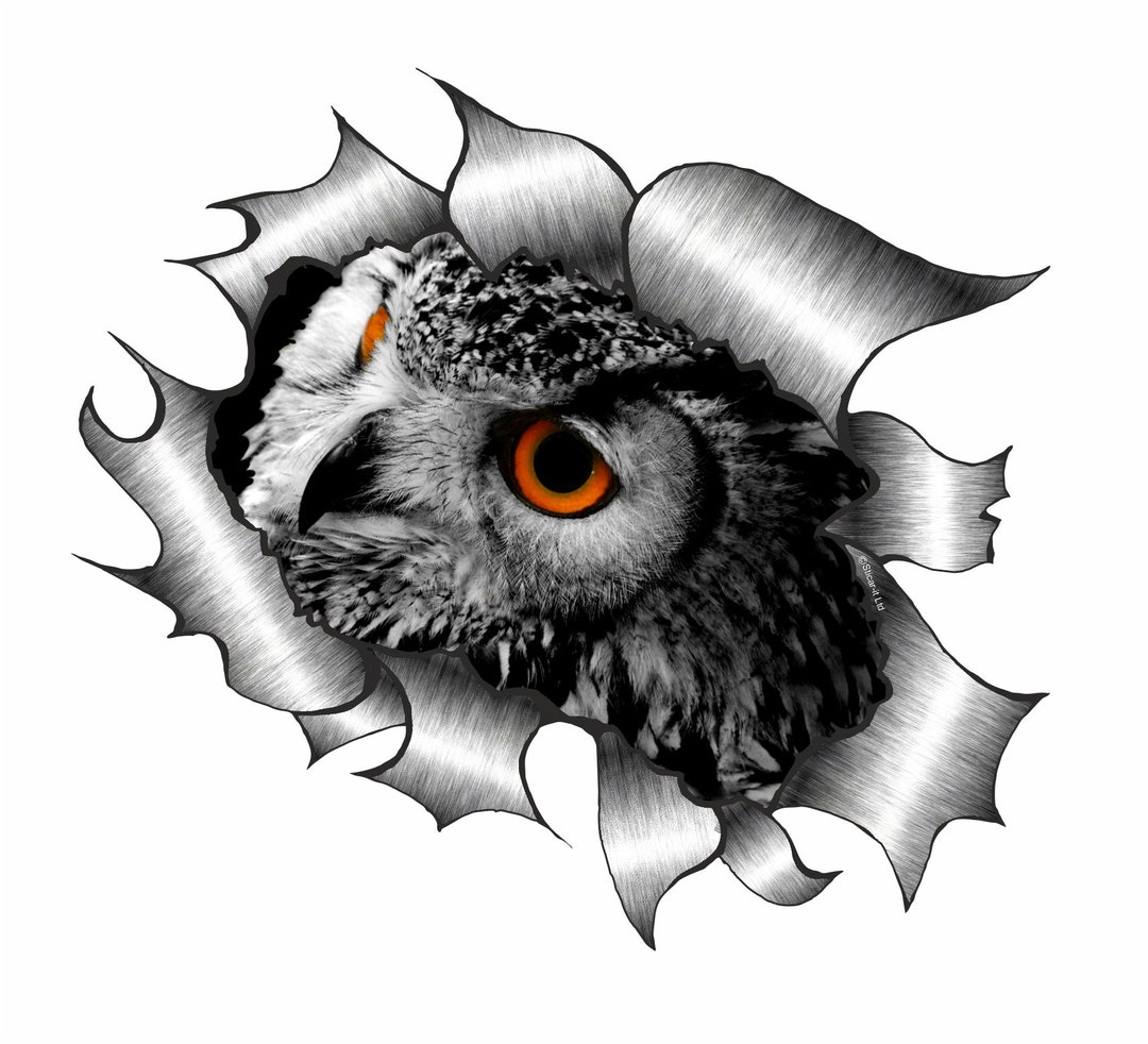 Licensed Ripped Torn Metal Rip Design With Beautiful Eagle Owl Bird of ...