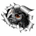 Licensed Ripped Torn Metal Rip Design With Beautiful Eagle Owl Bird of ...