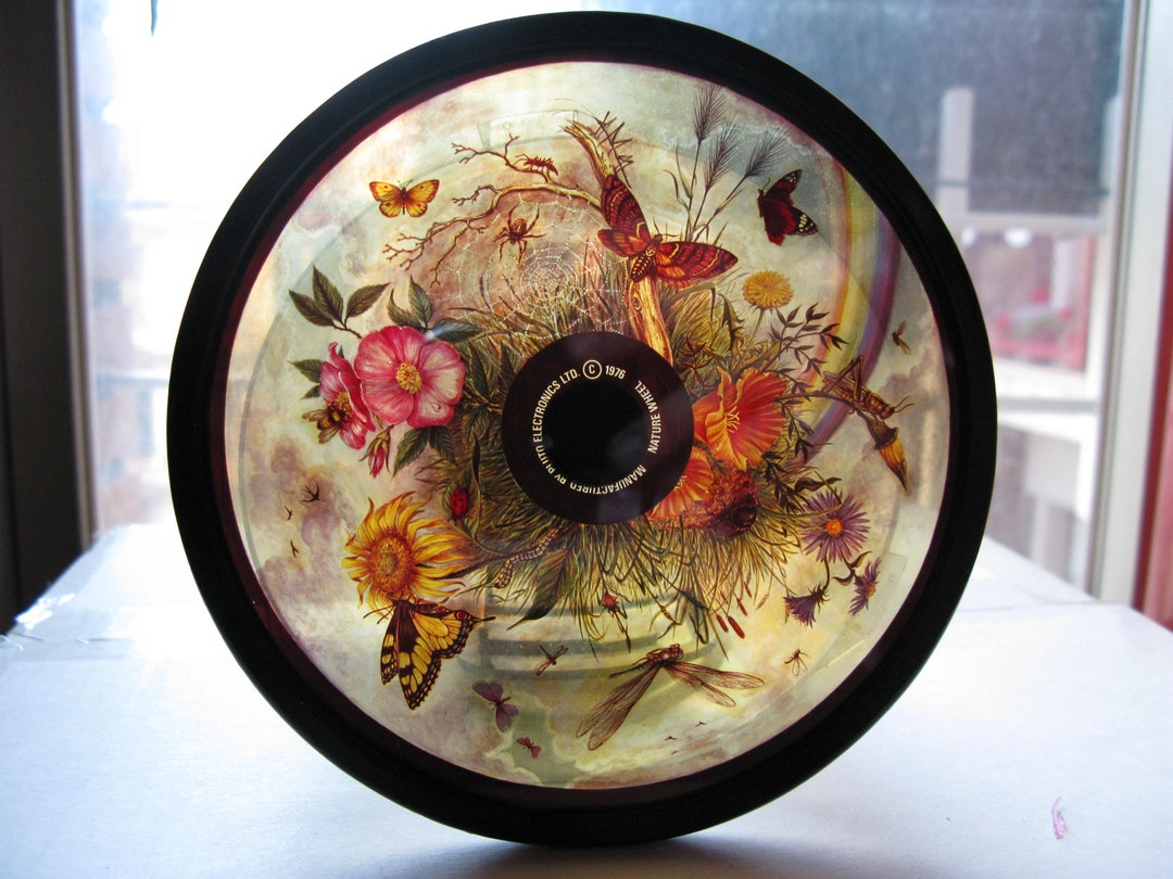 Vintage Optikinetic Wheel Light Show SURREAL Hippy 1976 Pluto ...