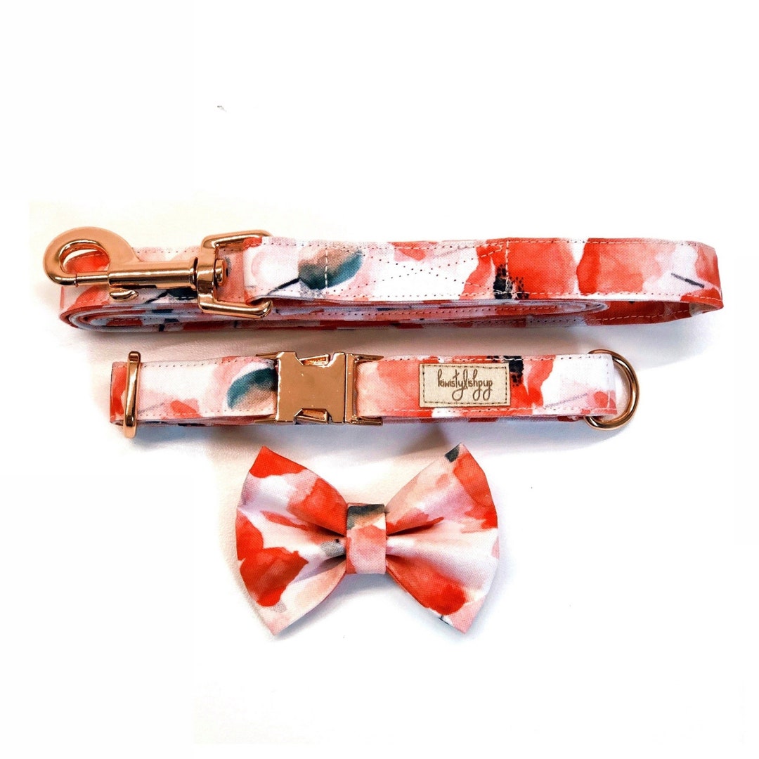 Poppy Dog Collar and Leash Set, Poppies Dog Collar, Girl Dog Collar ...
