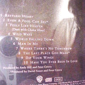 Peter Cetera, World Falling Down, CD 1992, Pre-owned, in Very Good ...