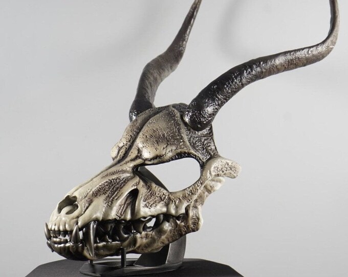 Cervine Skull Mask - Etsy