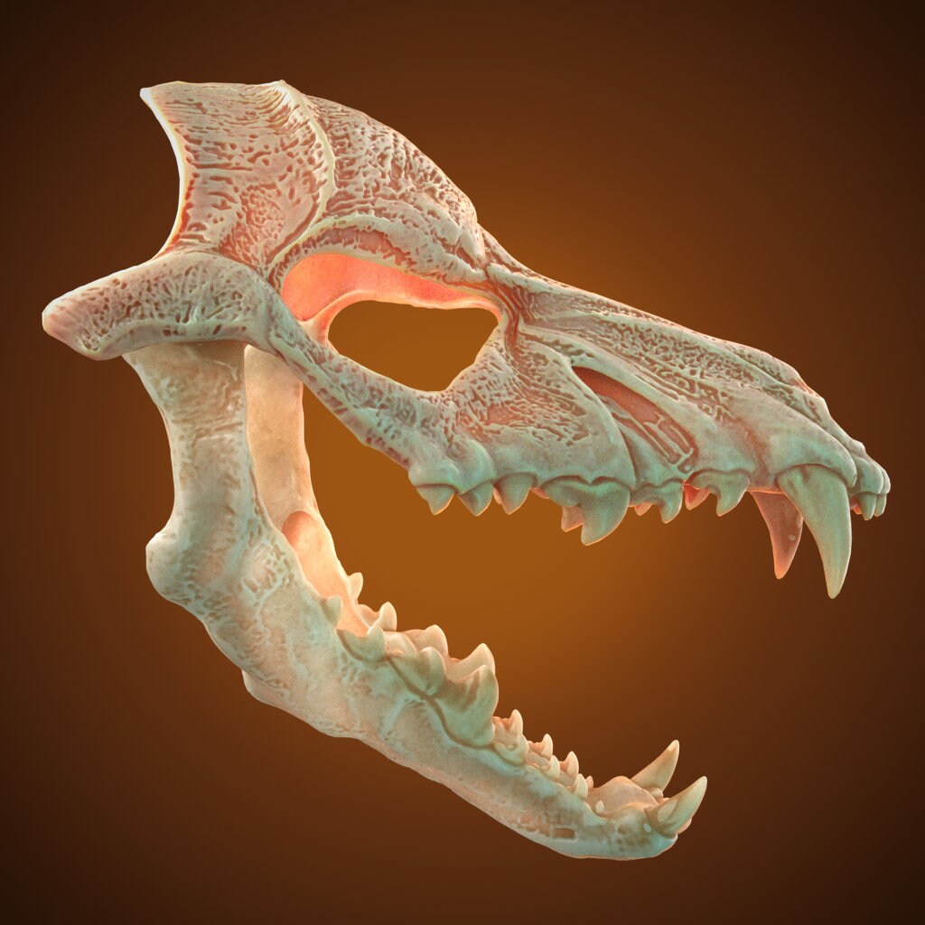 Wolf Skull Mask 3d Model STL Files Wolf Skull 3d Model - Etsy Hong Kong