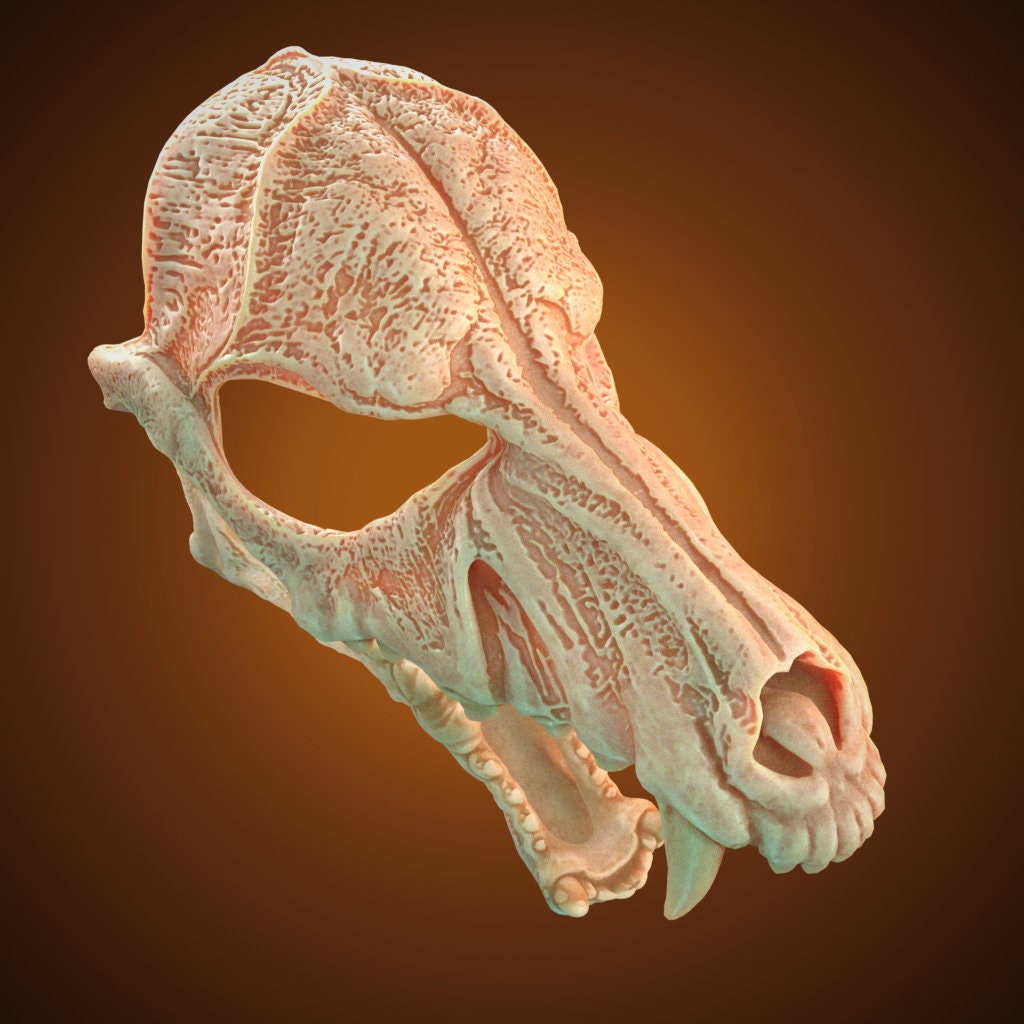 Wolf Skull Mask 3d Model STL Files Wolf Skull 3d Model - Etsy Hong Kong